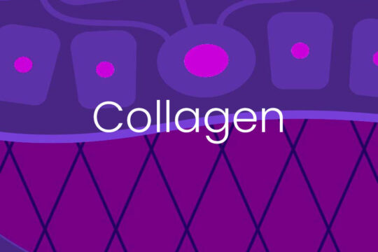 MyCli - Cosmeceuticals and supplements for anti-aging